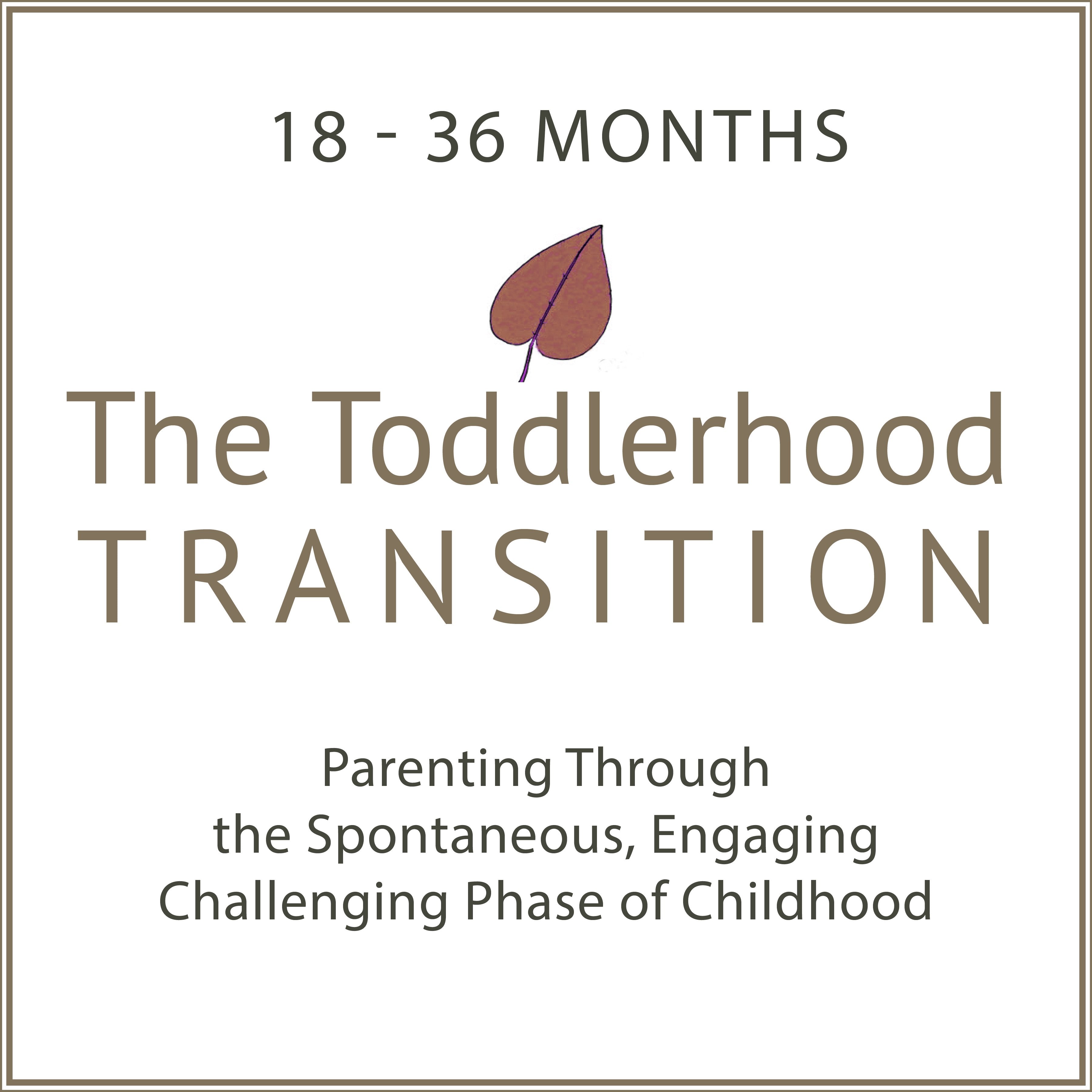 04 | The Toddlerhood Transition – Growing Families International Bookshop